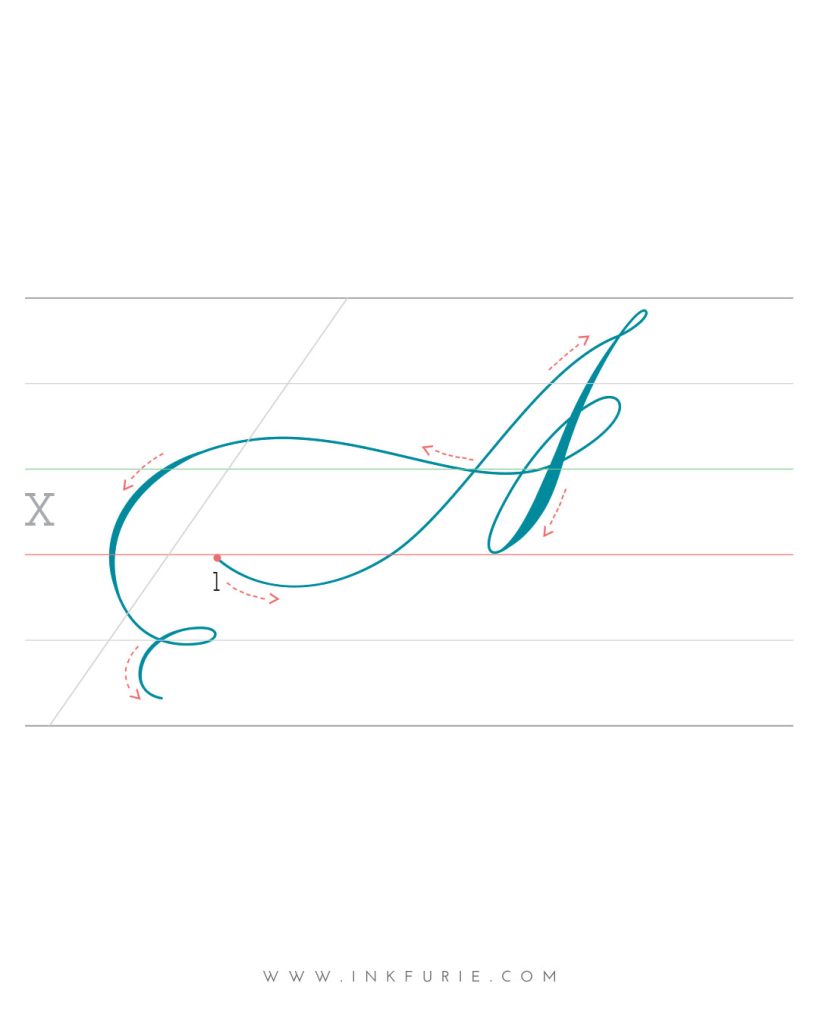 Iris Script: Modern Calligraphy Workbook (Digital Download) - InkFurie